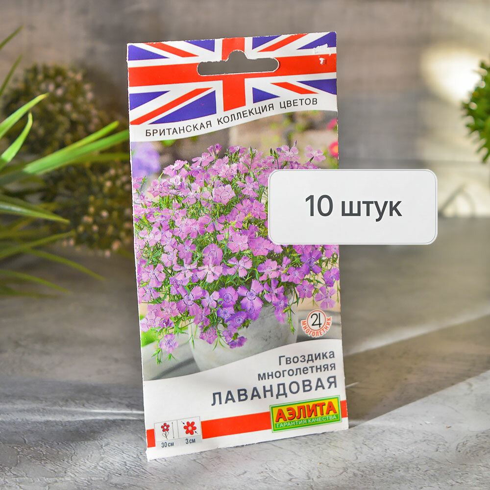 Семена гвоздики многолетней лавандовая «британская коллекция», 10 шт, высота 30 см, цветок 3 см