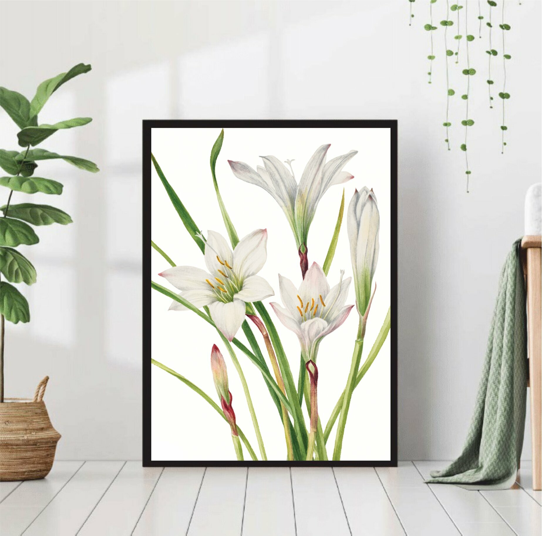 Постер "Цветы белые Лилии" в черной рамке 50x70 см для интерьера на стену