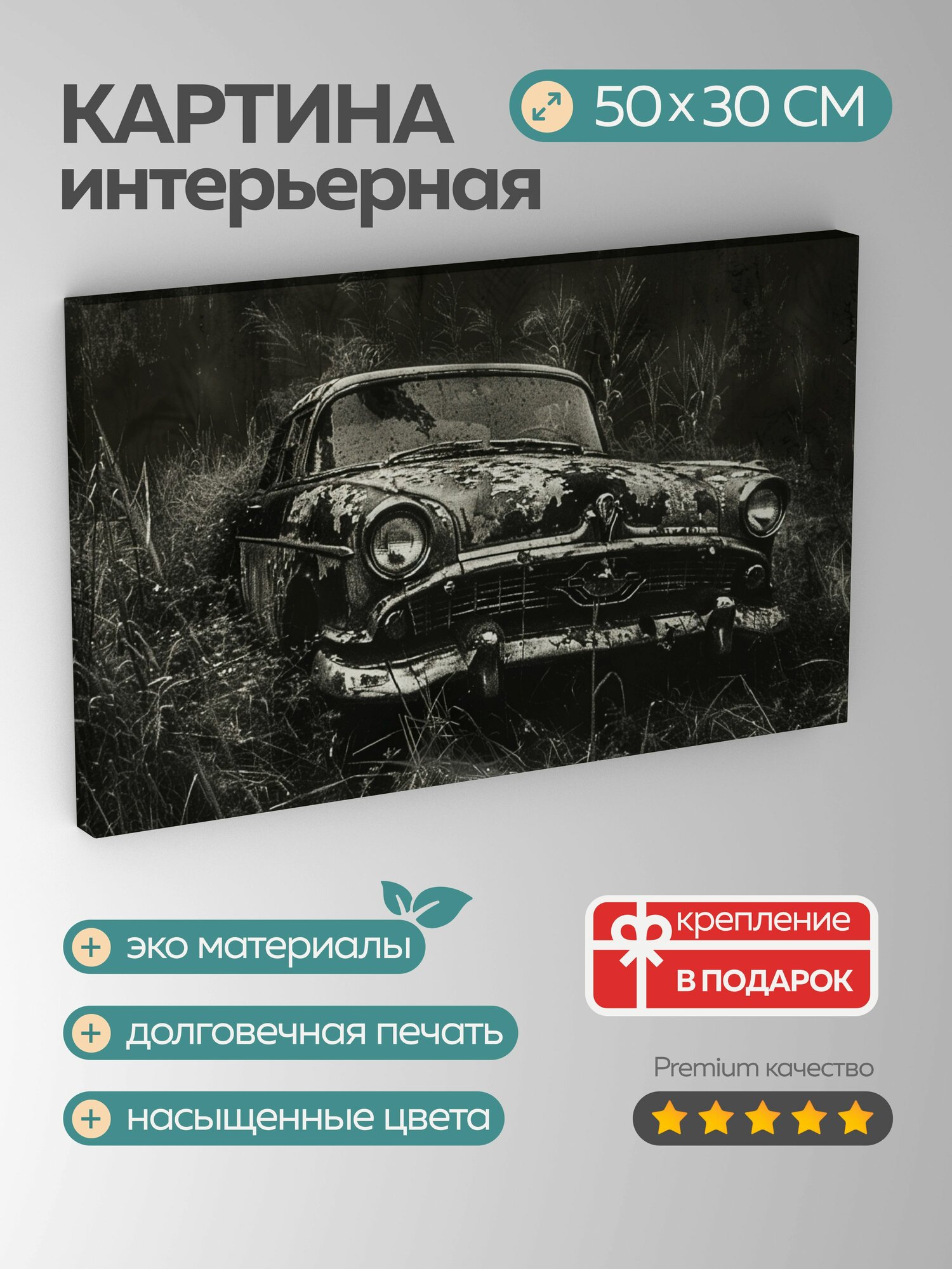 Картина на холсте интерьерная 50х30 см, черно-белая фотография, брошенный автомобиль, ржавчина, пустынное поле, мох