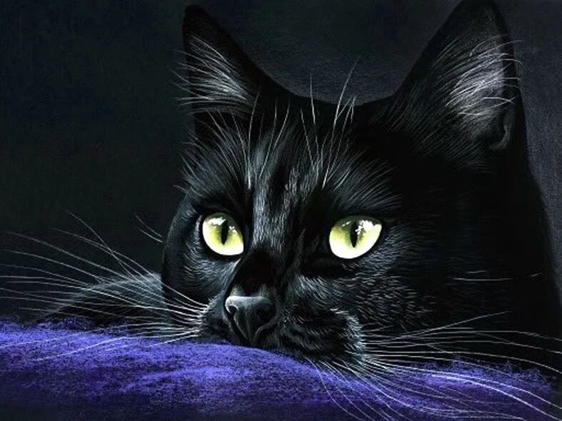 Новый 5D DIY Алмазная вышивка Кошка Стразы Картина Полный Алмазная Картина Вышивка Крестом Набор Животных Мозаика