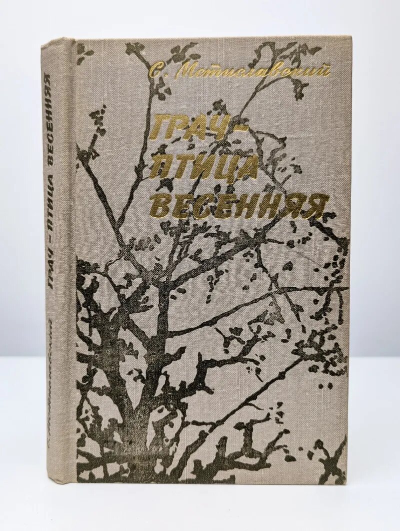 Грач - птица весенняя