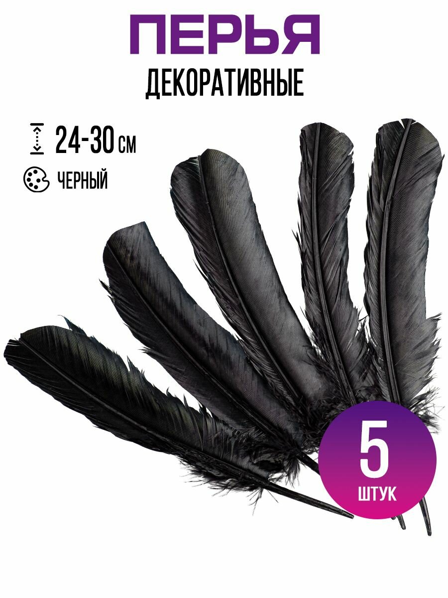 Перья декоративные 240-300 мм (черный 091), 5 штук