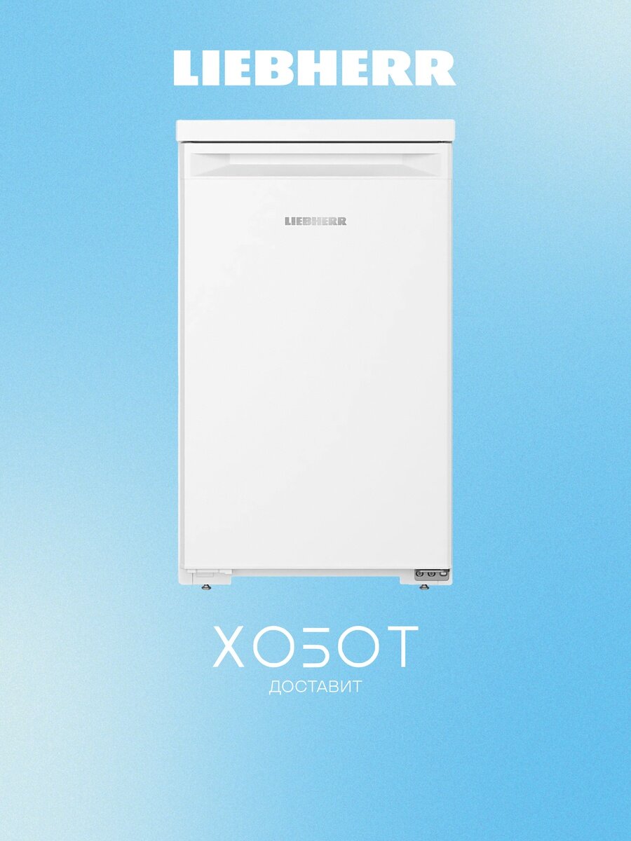 Холодильник Liebherr Rd 1200