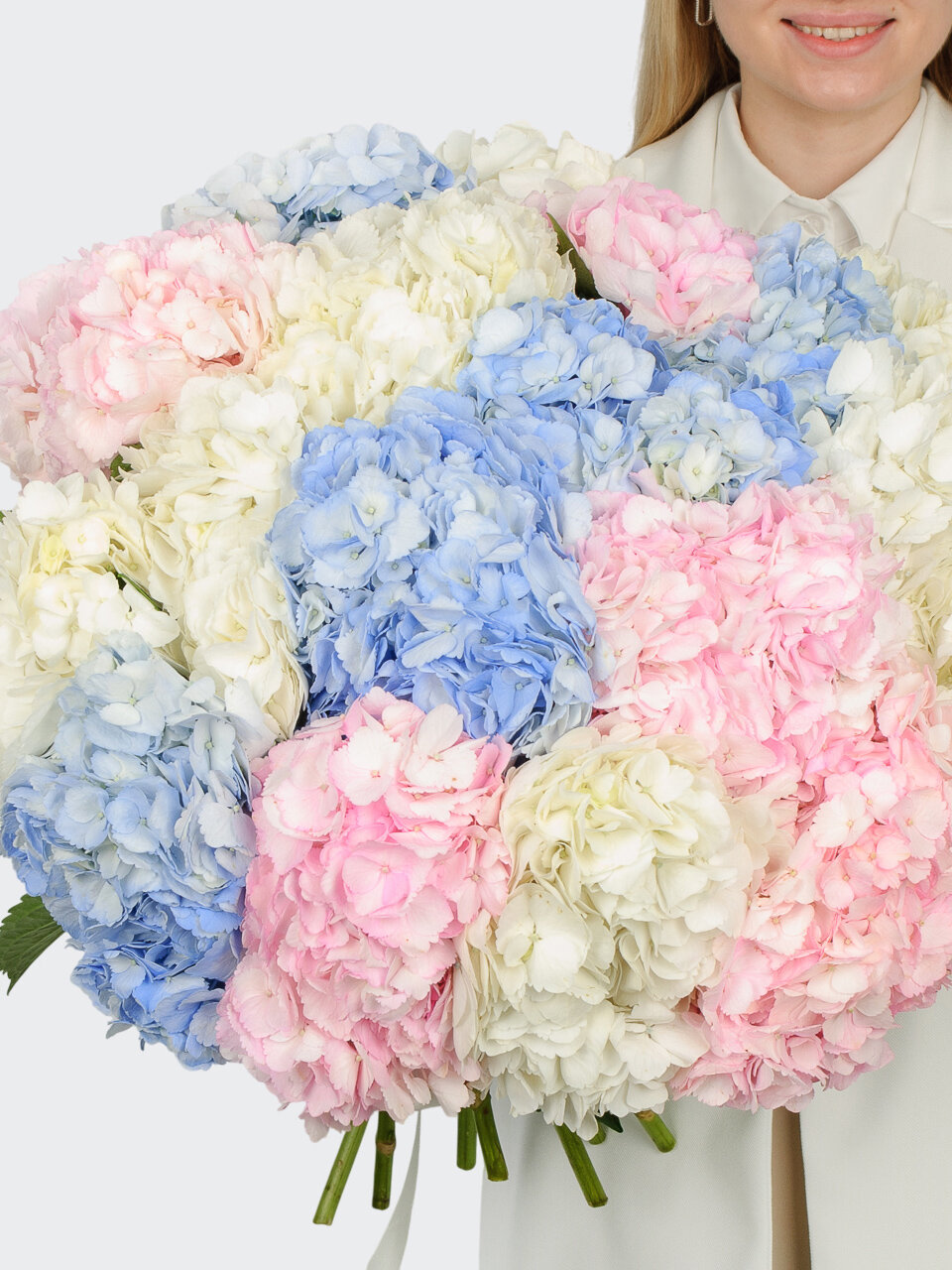 Монобукет СоюзЦветТорг "Нежность Пастели", гортензии, 19 шт, 2000 г, L
