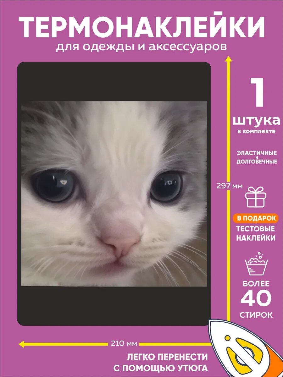 Термонаклейка на одежду "Котик"