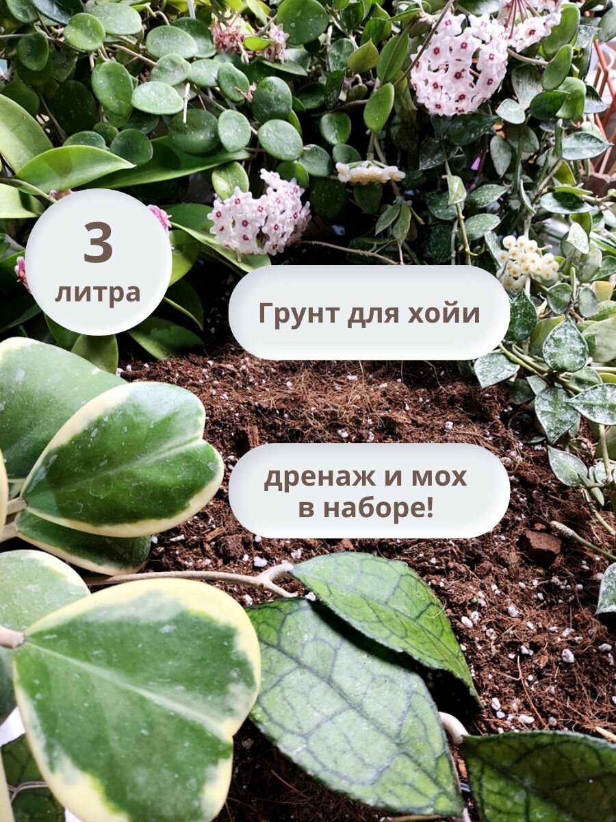 Грунт для хойи, плюмерии специализированный готовый, ручная фасовка 3л