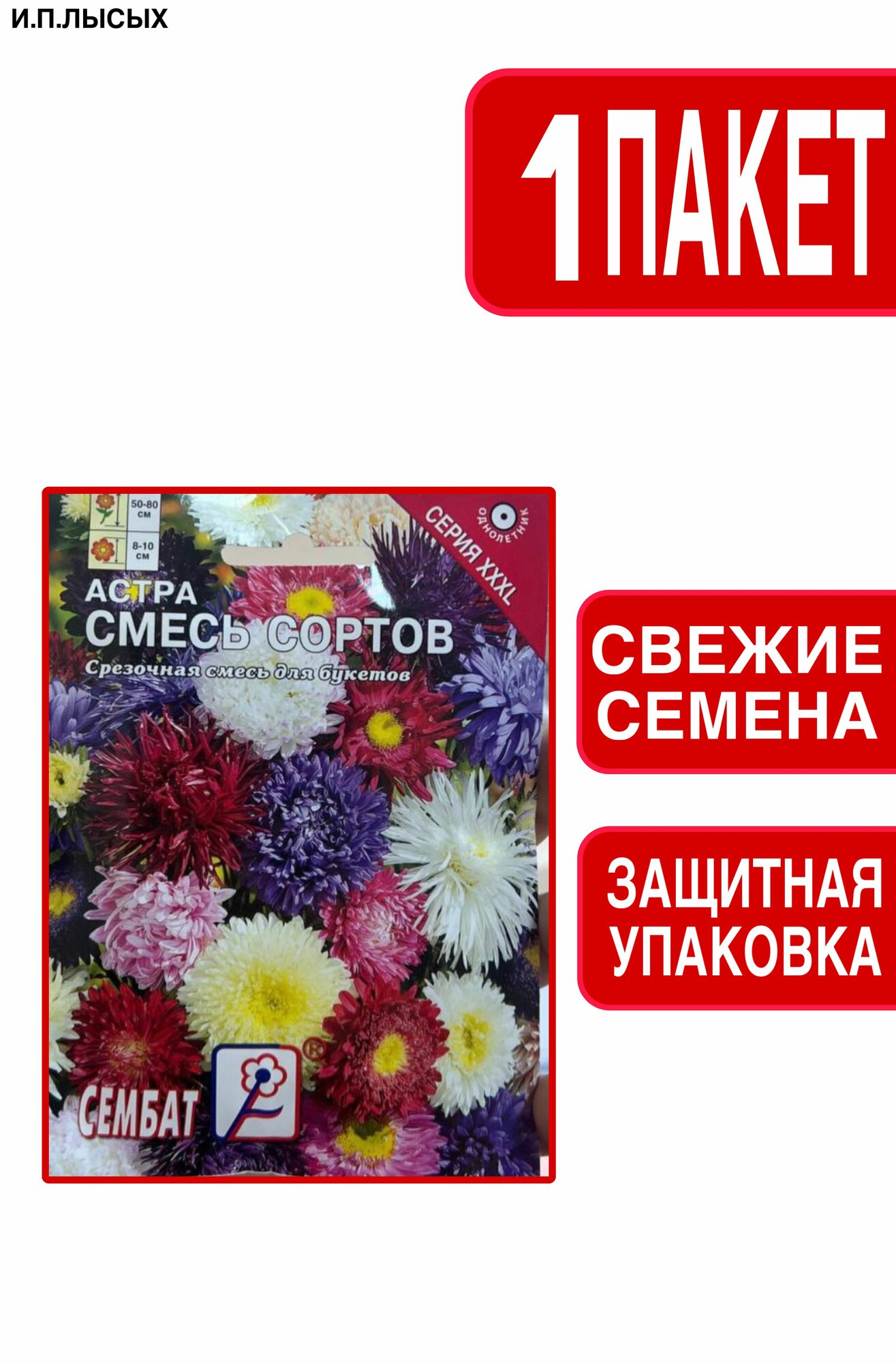 Семена астра смесь сортов XXXL