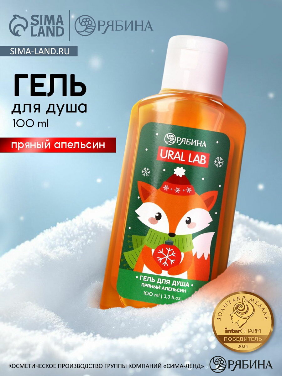 Гель для душа новогодний, аромат: пряный апельсин, 100 мл, область применения: для тела