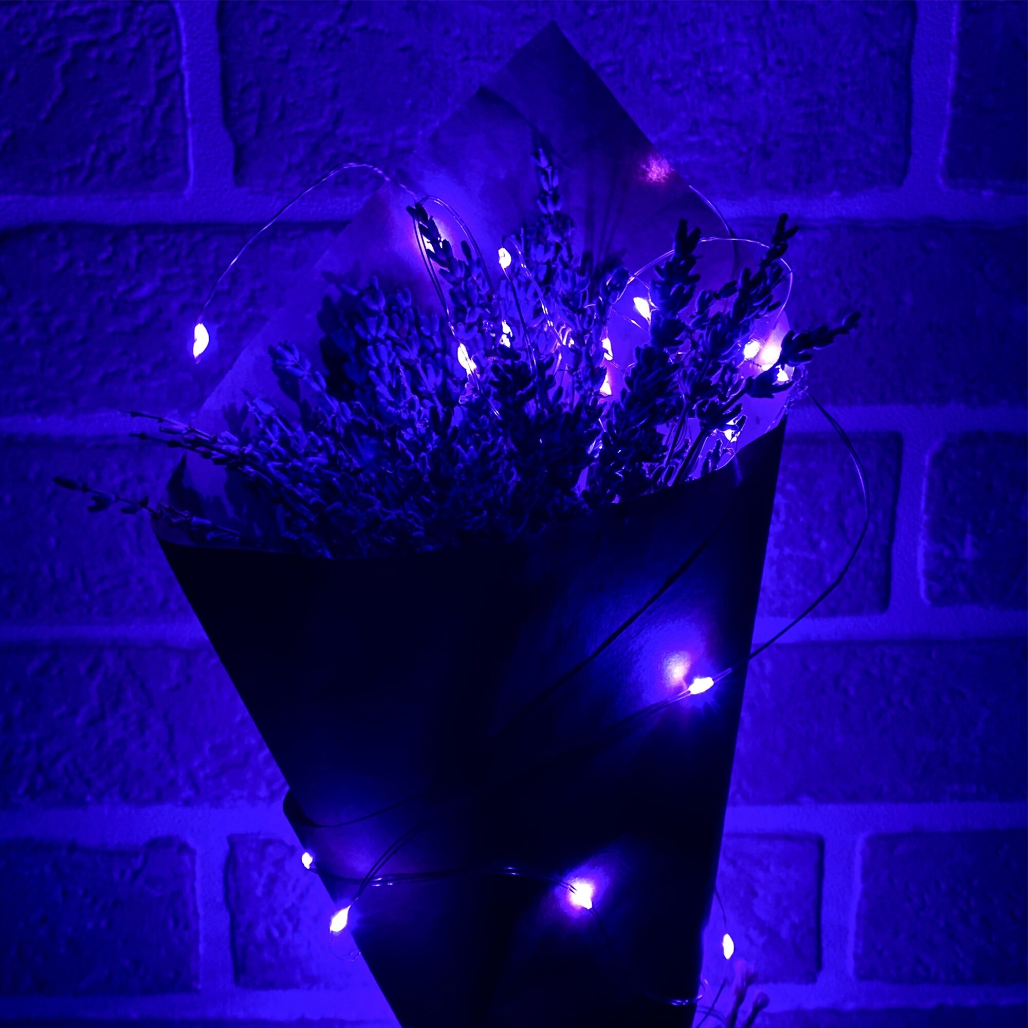 Гирлянда светодиодная Роса, 2 м, IP20, на батарейках 2AA не в-к. 2м. 20, фиолетовый свет, Uniel