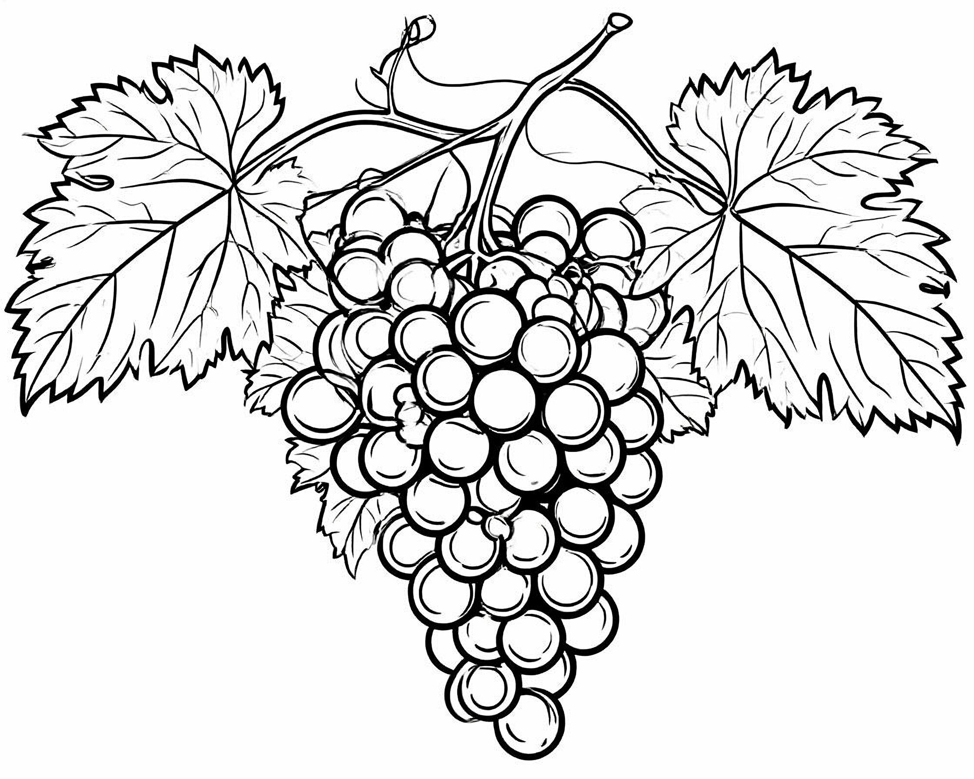 Набор детских раскрасок Фрукты