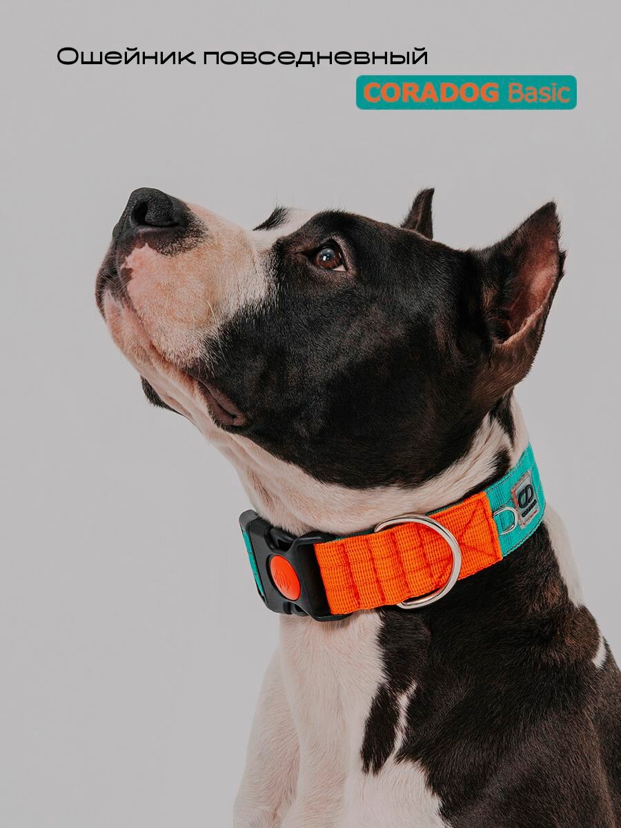 Ошейник широкий повседневный, CORADOG Basic, для средних и крупных собак, бирюзовый оранжевый, размер L-4 48-70 см