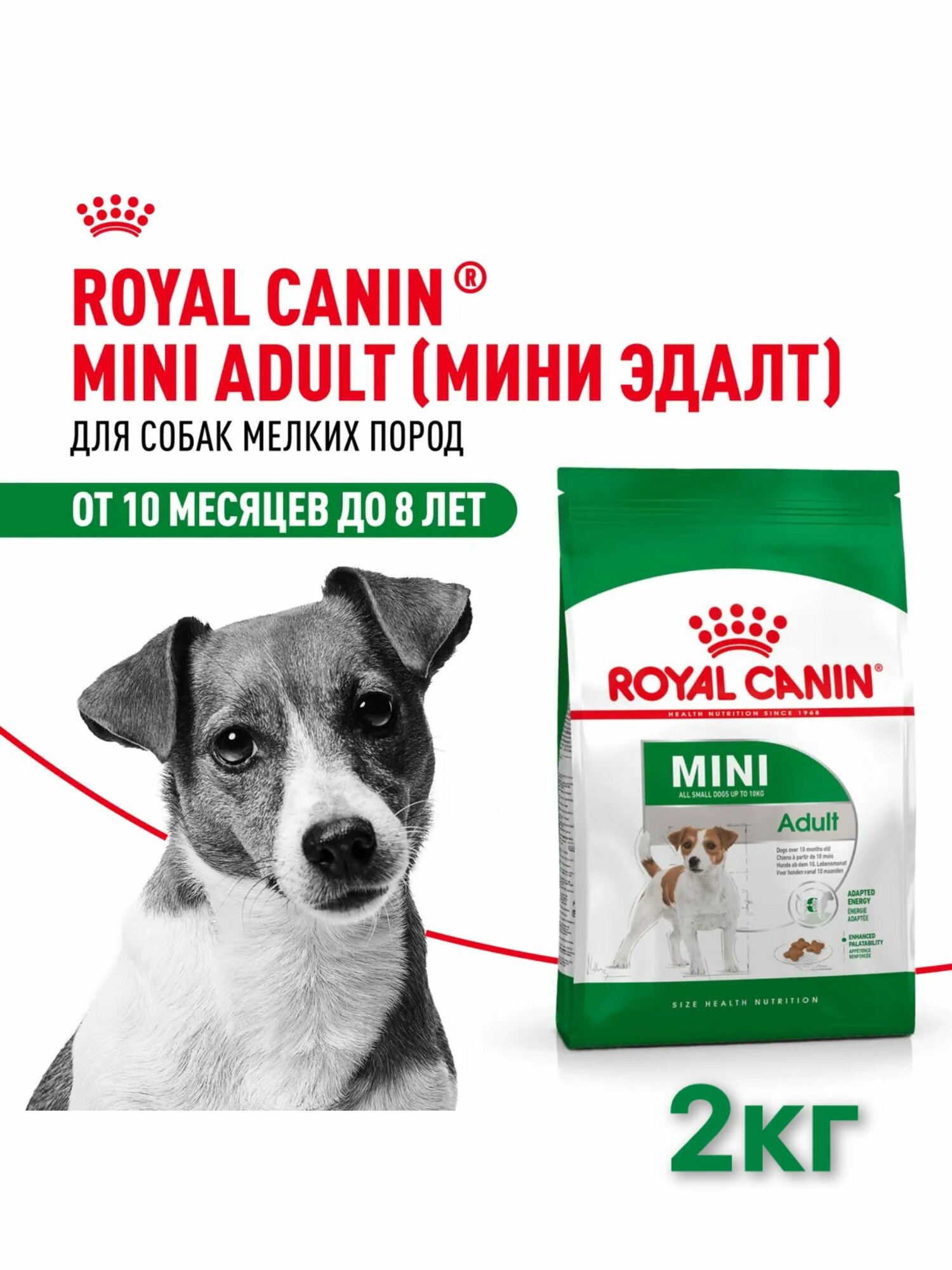 Корм для собак мелких пород весом до 10кг Mini Adult, 2кг