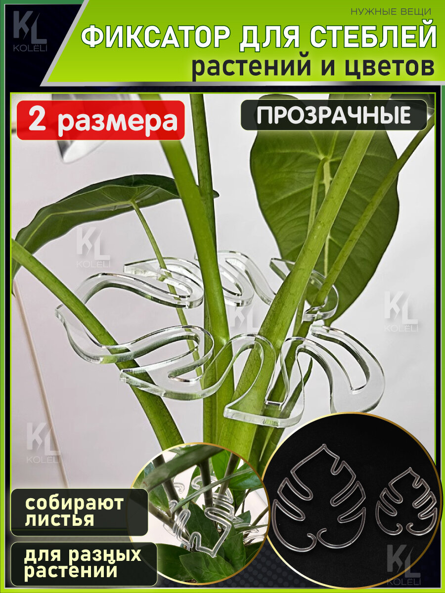 KoLeli / Фиксатор для сбора листьев и стеблей, фигурная опора, прозрачные, 2 шт.