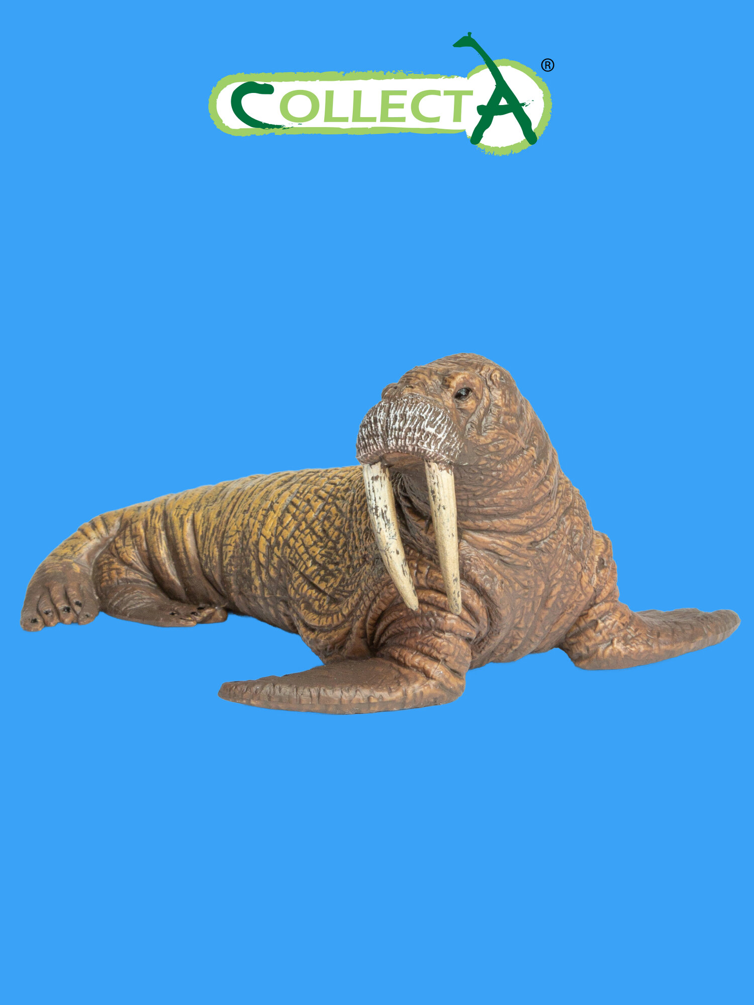 Фигурка морского животного Collecta "Морж" высота 6 см, 88569b