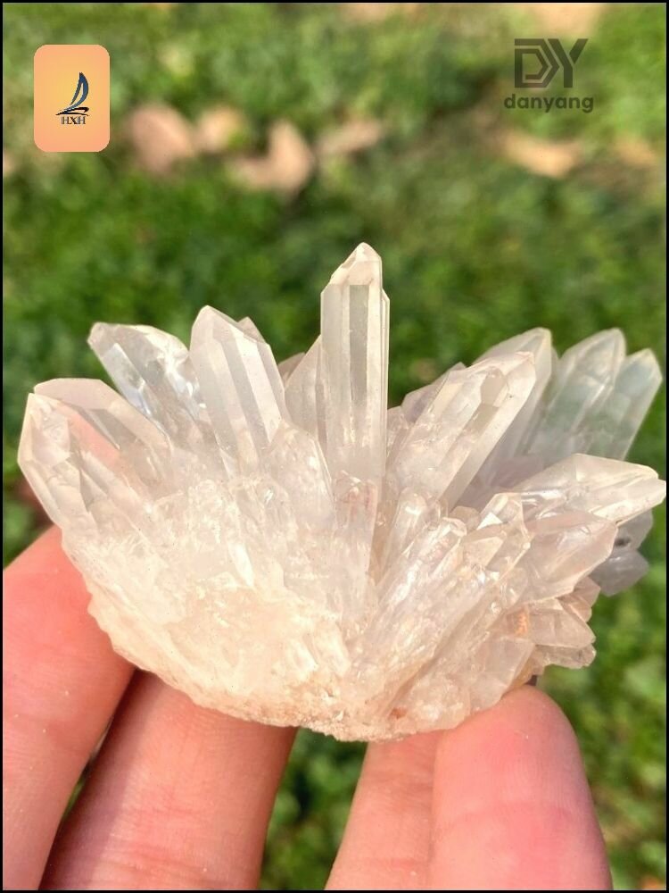 Натуральная друза горного хрусталя природный кристаллический кластер для очистки энергии (случайный выбор)