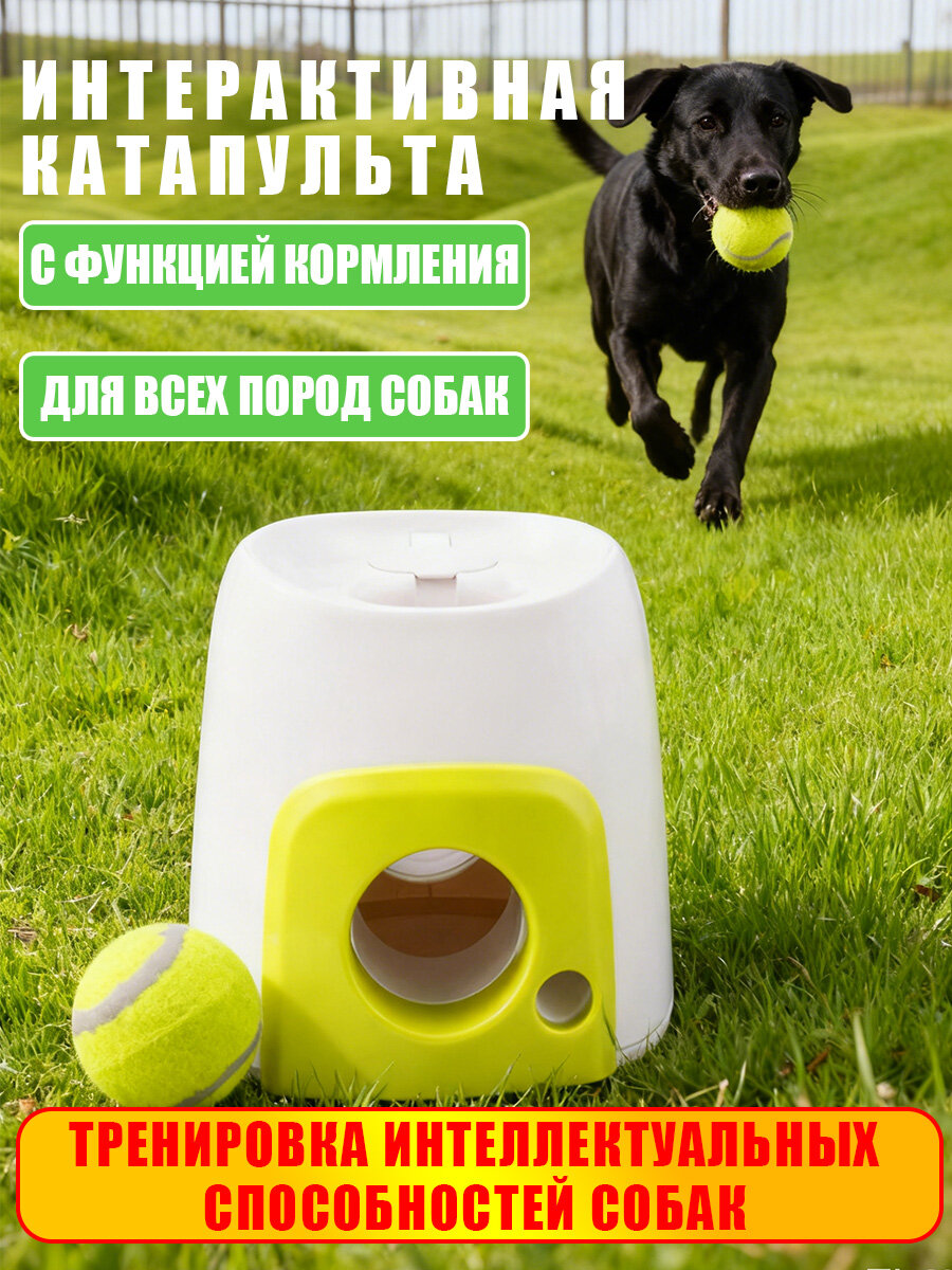 Катапульта мячей для собак интерактивная OZBERRY с 3 мячами