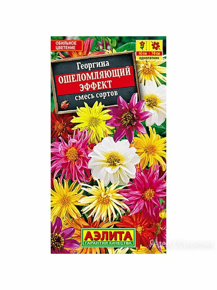 Георгина Ошеломляющий эффект смесь цв. п 10 семян Аэлита