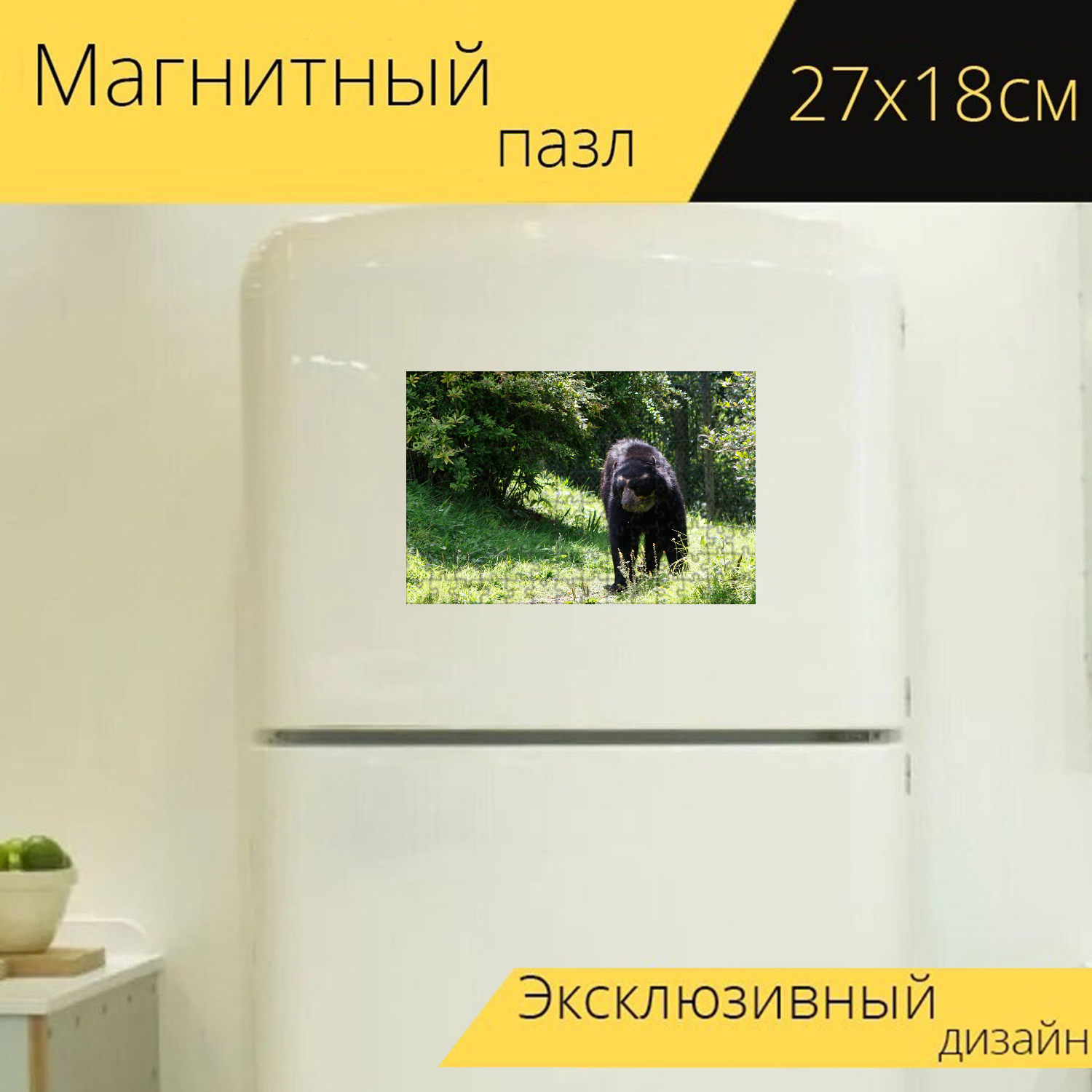 Магнитный пазл "Медведь в лесу Очковый медведь шел через лесные массивы медведь очковый медведь Андский медведь Анд животных большой пушистый волосатый." на холодильник 27 x 18 см.