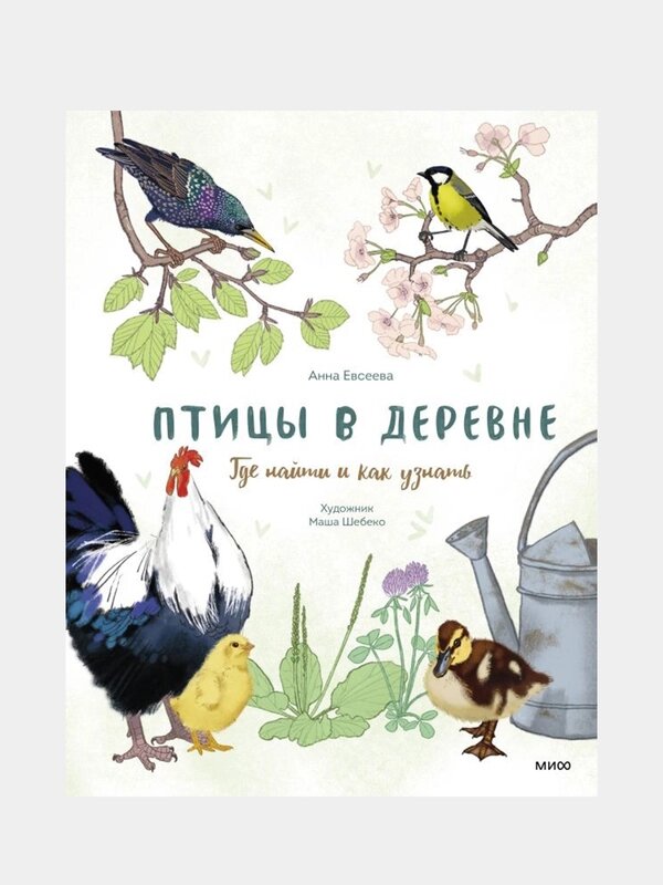 Птицы в деревне. Где найти и как узнать, Анна Евсеева, художник Маша Шебеко
