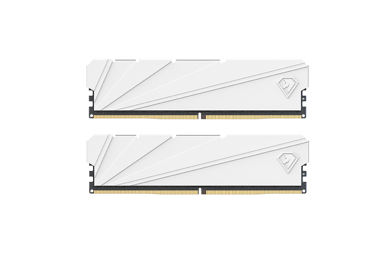 Оперативная память Netac Shadow S, 32 ГБ (16 ГБx 2), DDR4-3200, C16, белый (NTSSD4P32DP-32W)