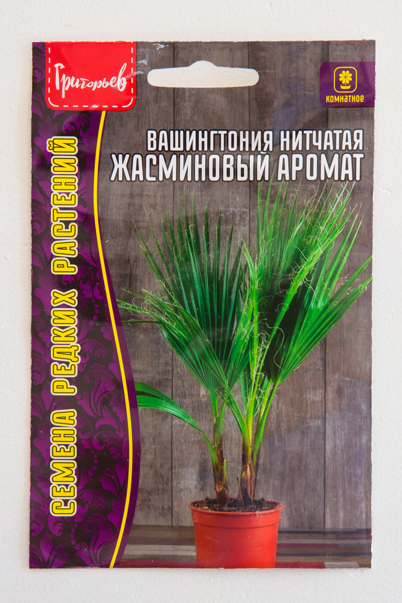 Семена пальмы Вашингтония (Жасминовый аромат), веерная для гостиной и веранды, 5 семян в упаковке