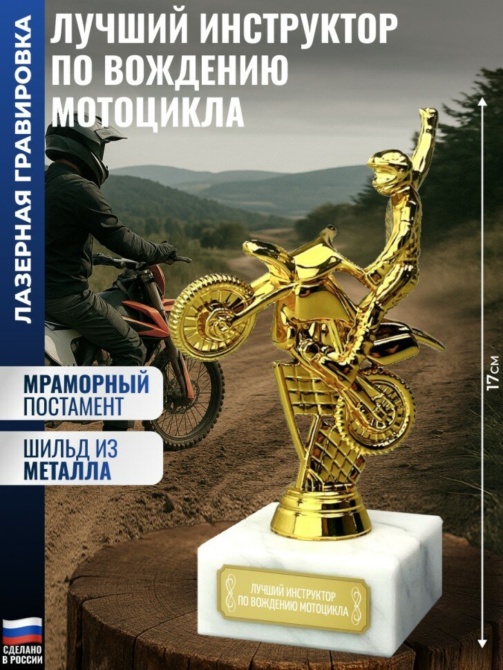 Статуэтка Байкер "Лучший инструктор по вождению мотоцикла" (17 см)