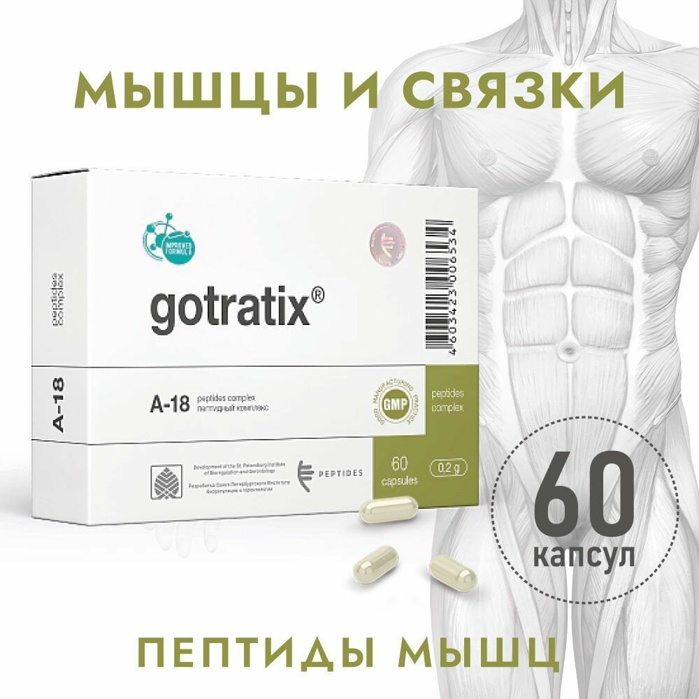 Готратикс (Пептиды Хавинсона) пептид для мышц, 60 капсул, бад для развития мышечной ткани, увеличение объема мышц, восстановление при физических нагрузках