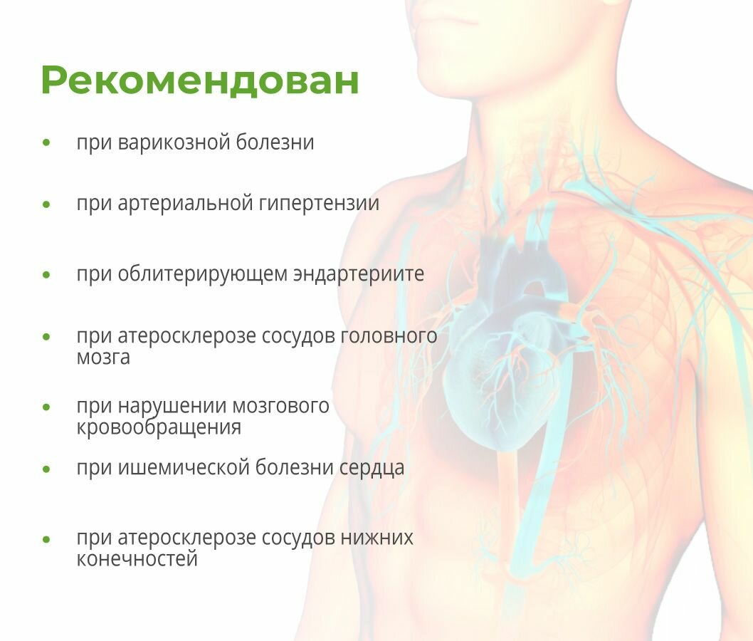 Вентфорт (Пептиды Хавинсона) пептиды сосудов, 60 капсул, бад для восстановление сосудистой системы, заболеваний артериальная гипертензия, нарушение мозгового кровообращения — фото 1