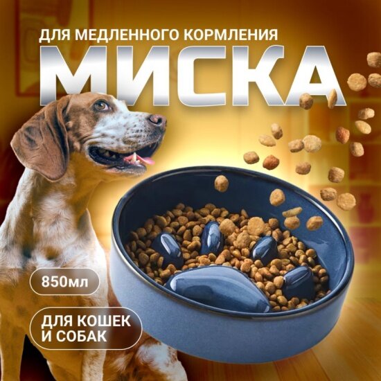Миска Zoowell Aura для домашних животных, 850 мл, для медленного кормления, синяя (ZWbowl20)