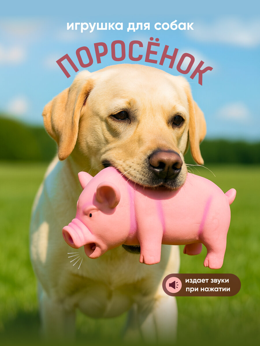 Пищалка игрушка для собак резиновая свинья хрюкающая SSY, 16 см