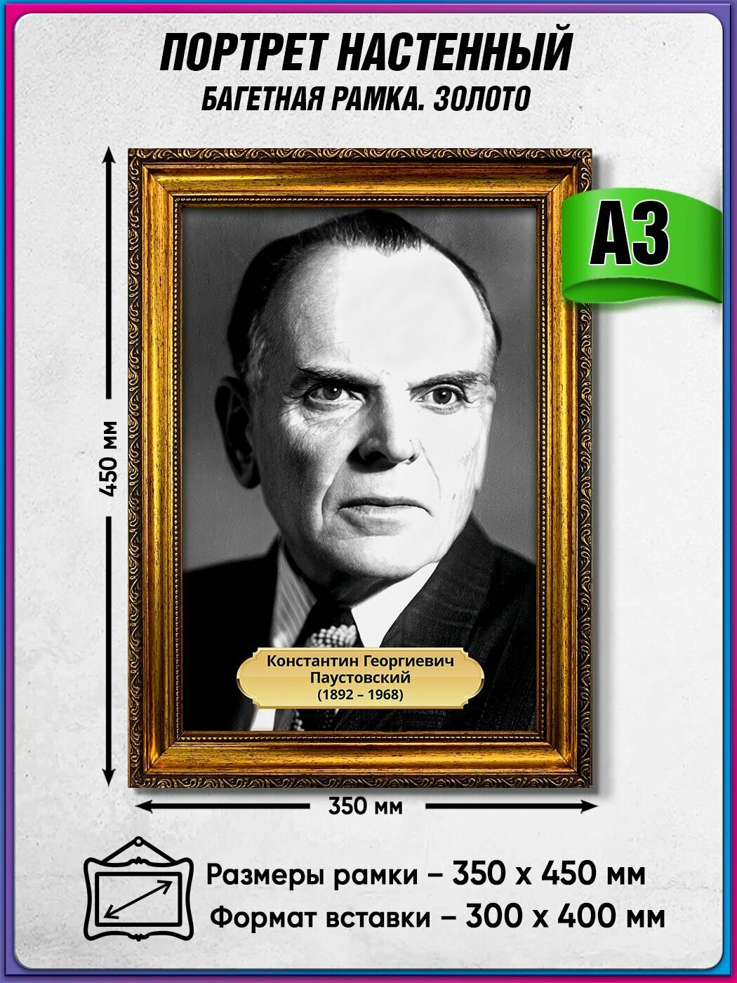 Портрет Паустовский К. Г. в багетной рамке под золото / А-3 (30x40 см.)