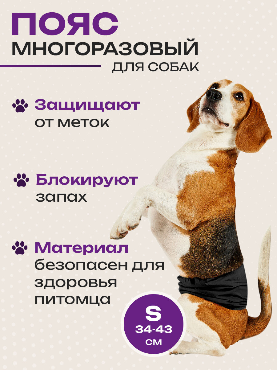 Пояс BIG tiny, многоразовый, для собак, от меток, недержания, S, черный