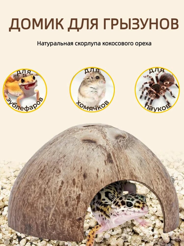 Укрытие из кокоса в террариум для рептилий, паука, хомяка. Домик для грызунов