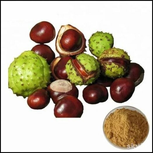 Эксклюзивный экстракт каштана 30 1 от 30 до 500 г