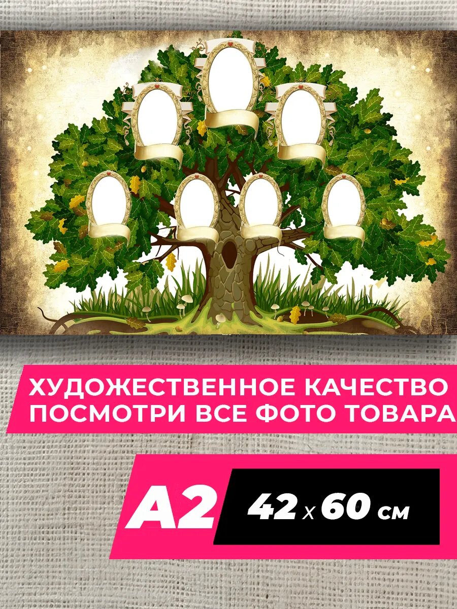 Постер Генеалогическое древо на стену A2, матовая фотобумага премиум качества