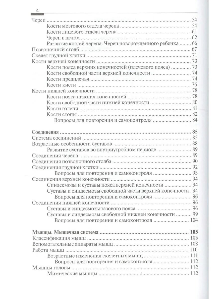 Анатомия человека — фото 1