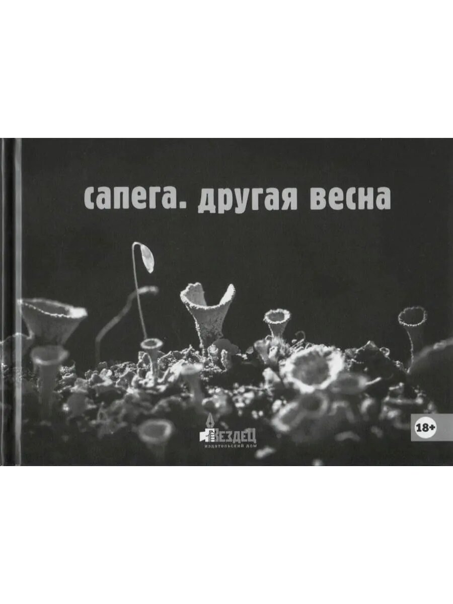Другая весна