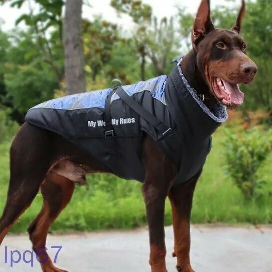 Попона для больших собак 5XL