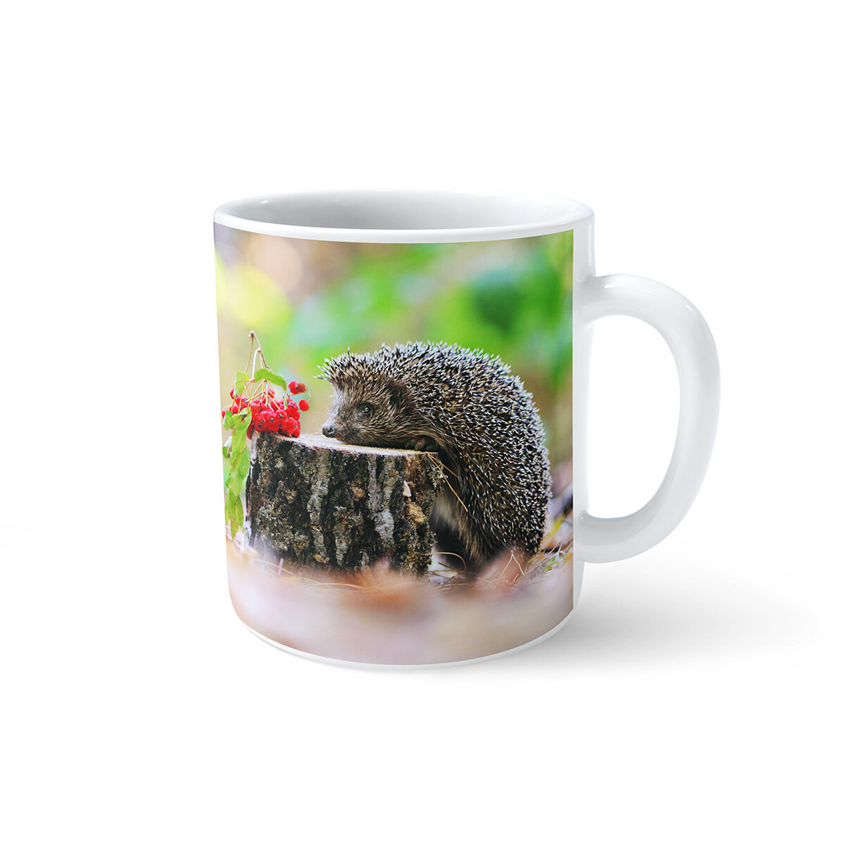 Кружка Первозданная Россия "Ёжик"