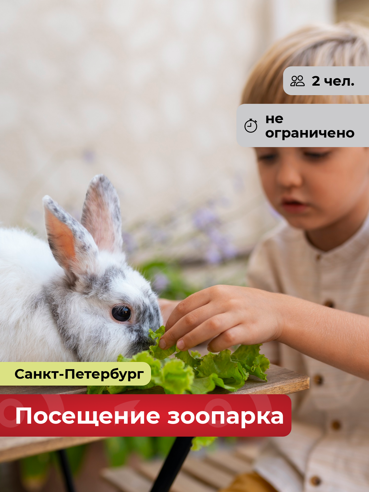 Подарочный сертификат bonodono Посещение зоопарка «Встреча с природой.», Санкт-Петербург