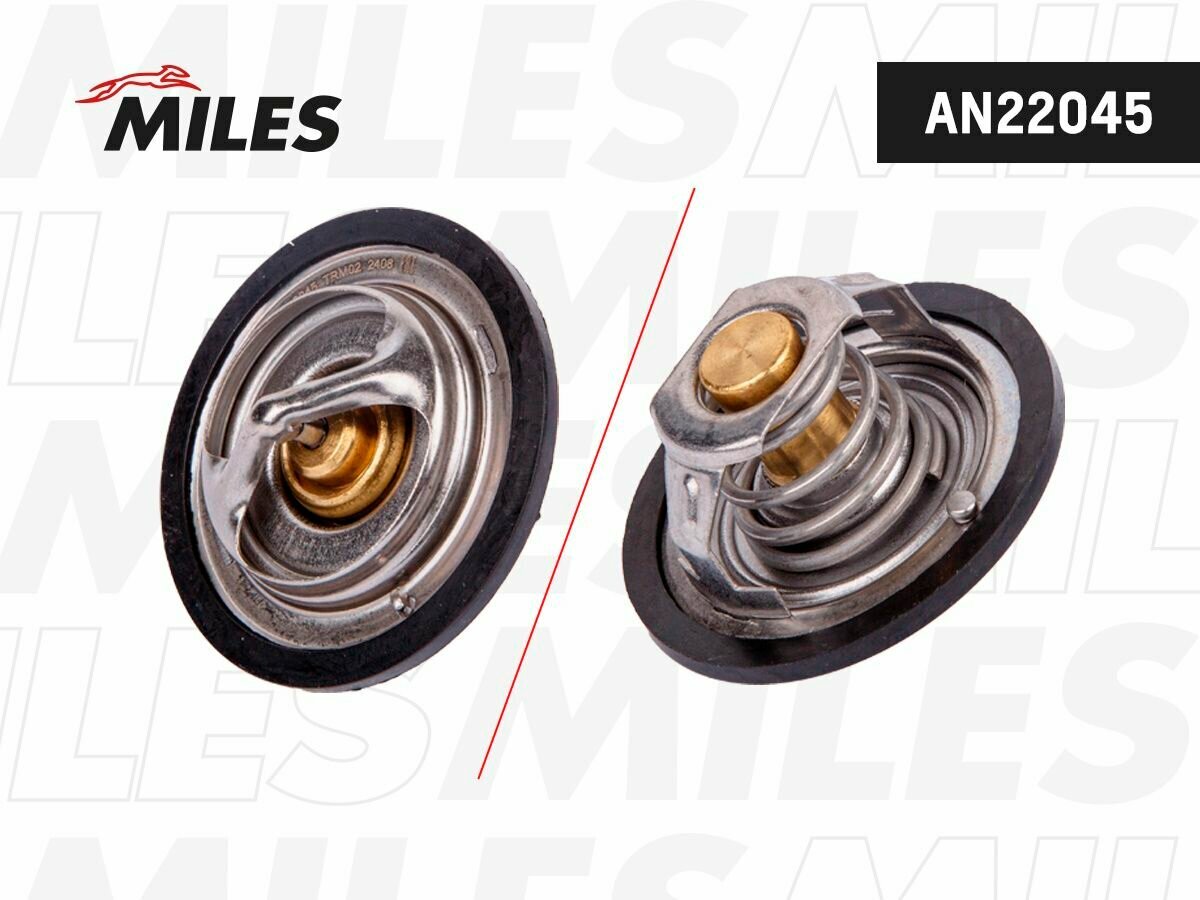 MILES Термостат для GAZelle-Business AN22045