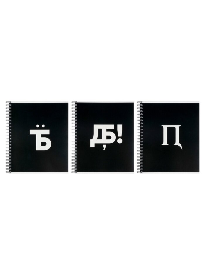 Набор тетрадей Calligrata «Русские иероглифы», 3 штуки, 96 листов, на гребне, обложка из мелованного картона