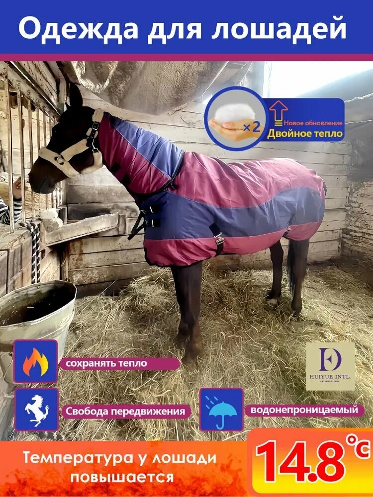 Попоны Для Лошадей 145cm