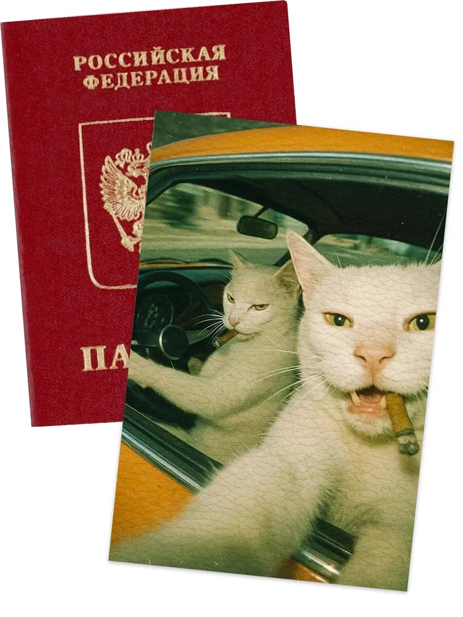 Обложка для паспорта