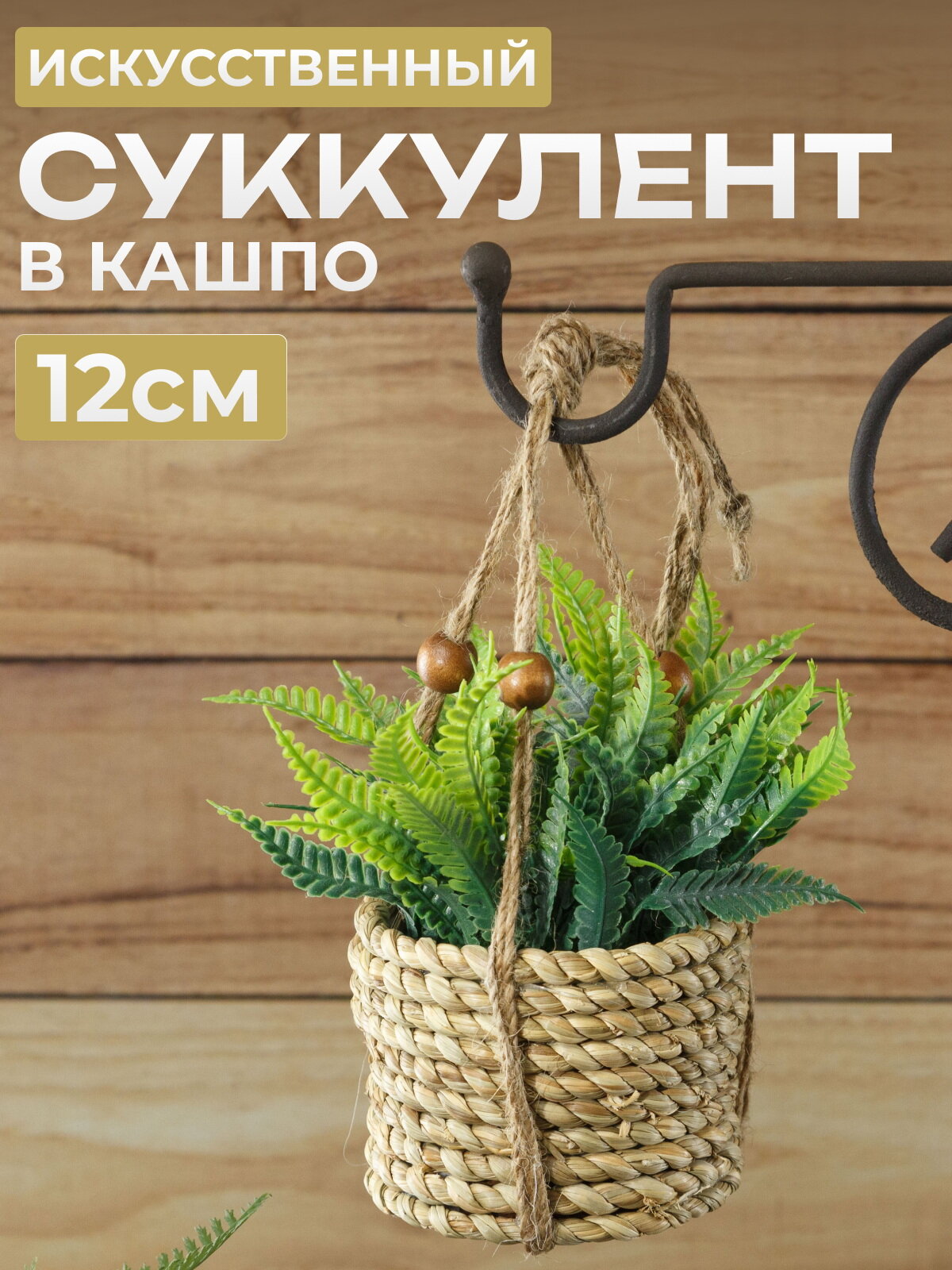 Искусственное растение в кашпо Алоэ 12 см, Kaemingk, 800249-3