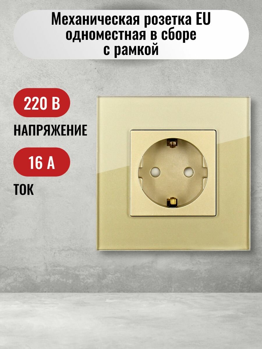 Розетка KLUST Basic стеклянная одинарная с рамкой золото
