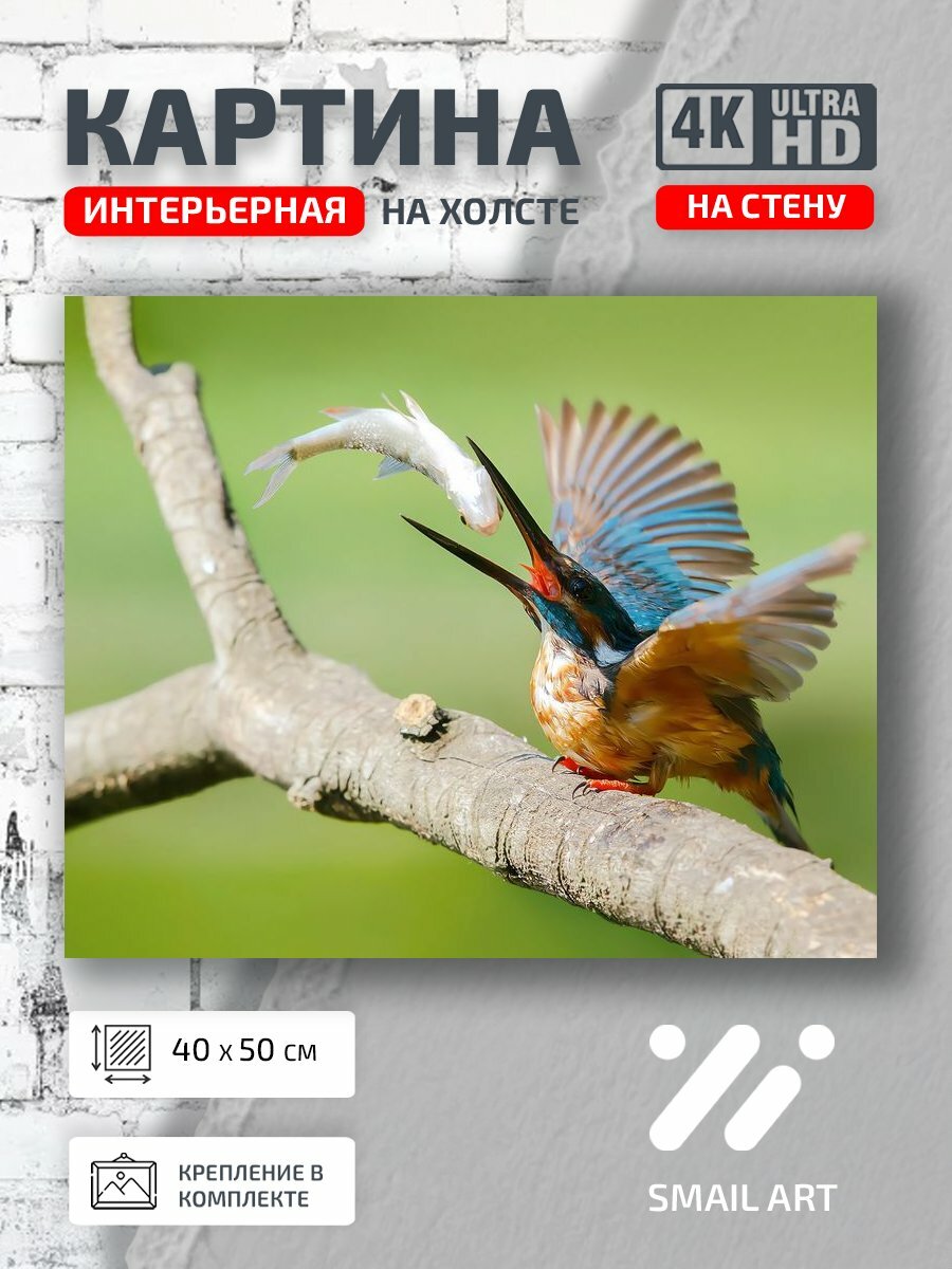 Картина на холсте интерьерная 40 на 50 на стену Рыба Mood для кабинета атмосфера интерьер