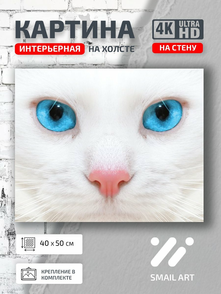 Картина на холсте интерьерная 40 на 50 на стену Белый Animal для кабинета animal style