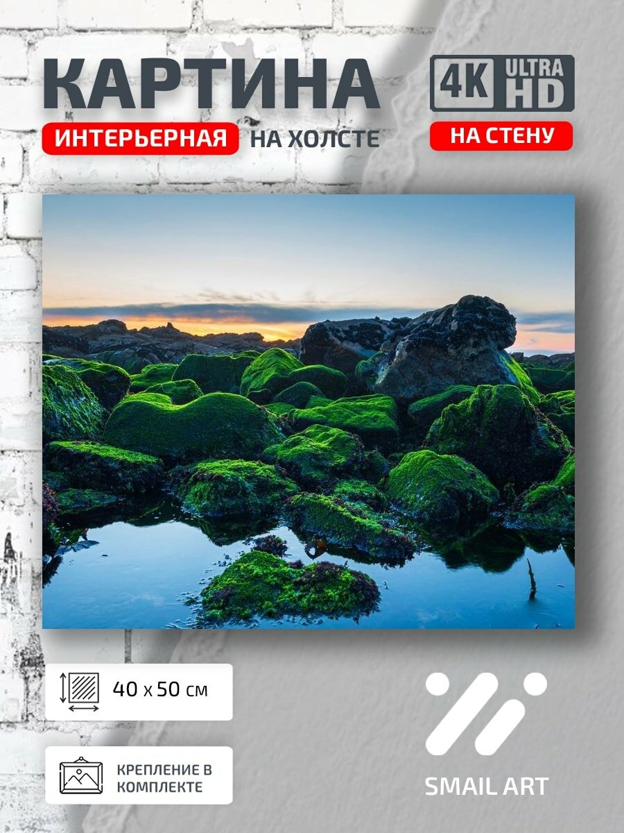 Картина на холсте интерьерная 40 на 50 на стену зеленые скалы для офиса пейзаж