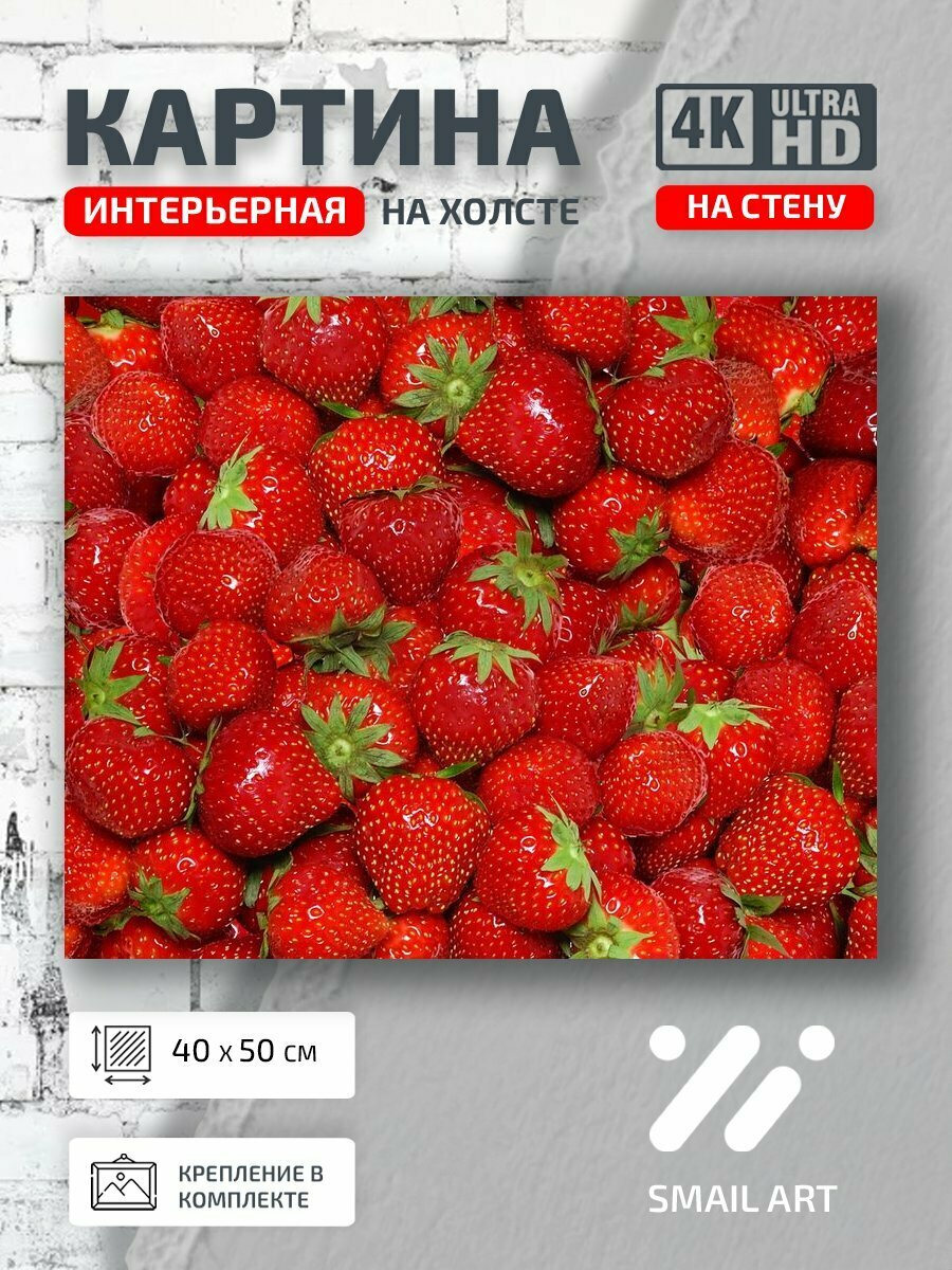 Картина на холсте интерьерная 40 на 50 на стену Красные Food для кафе кулинария интерьер